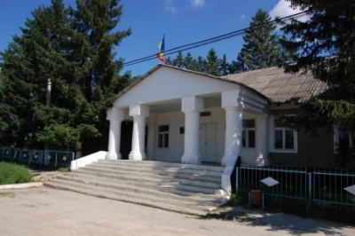 (Română) (VIDEO) Viorel Furdui: Reforma administrativ-teritorială nu ...